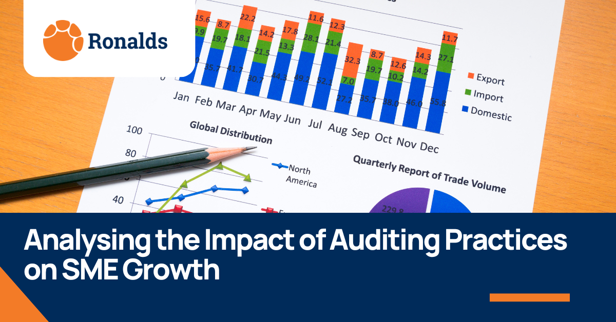 Audit for SMEs: Analysing Its Impact on Business Growth