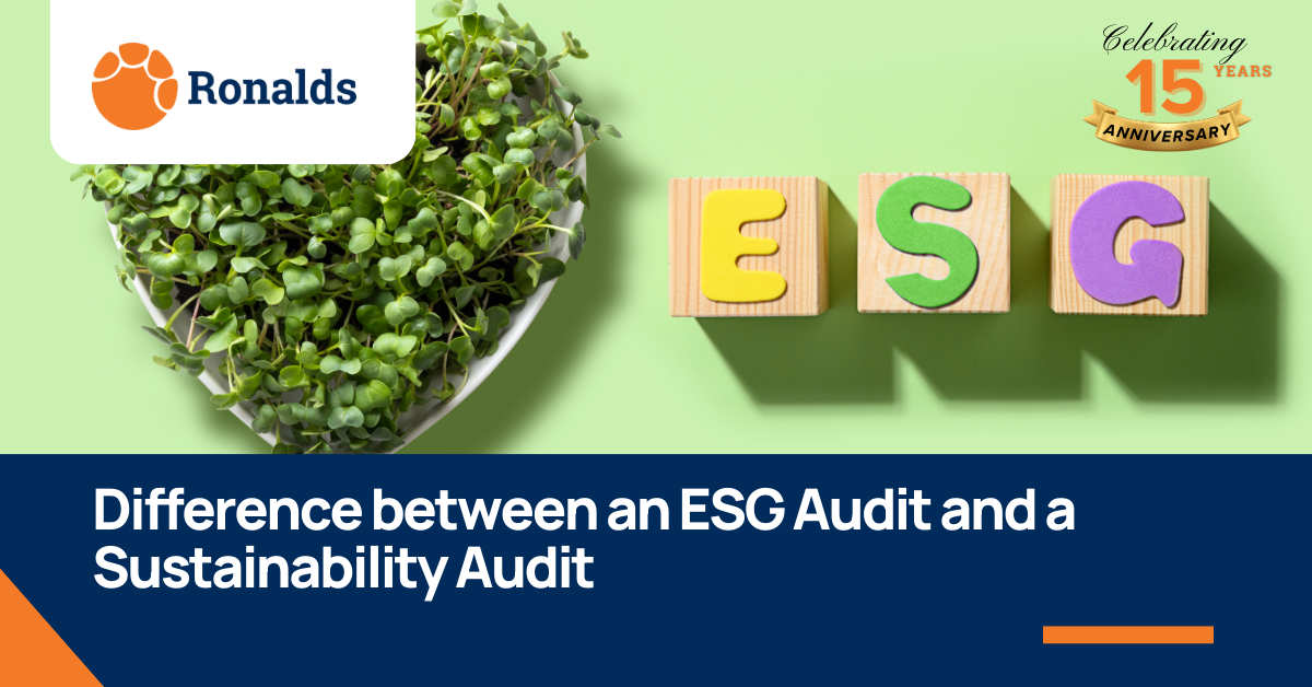 ESG Audit vs Sustainability Audit: Risks, Progress & Value