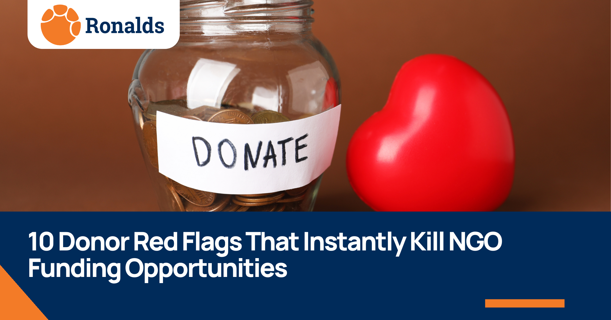 Donor Compliance: 10 Red Flags That Kill NGO Funding